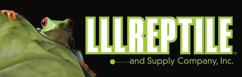 Vendor Spotlight: LLLReptile & Supply – Big Sky Reptile Expo 406
